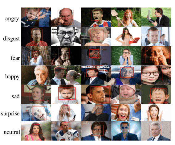 Expression in-the-Wild (ExpW) Dataset