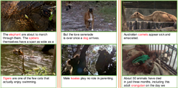 WildLife Documentary (WLD) Dataset